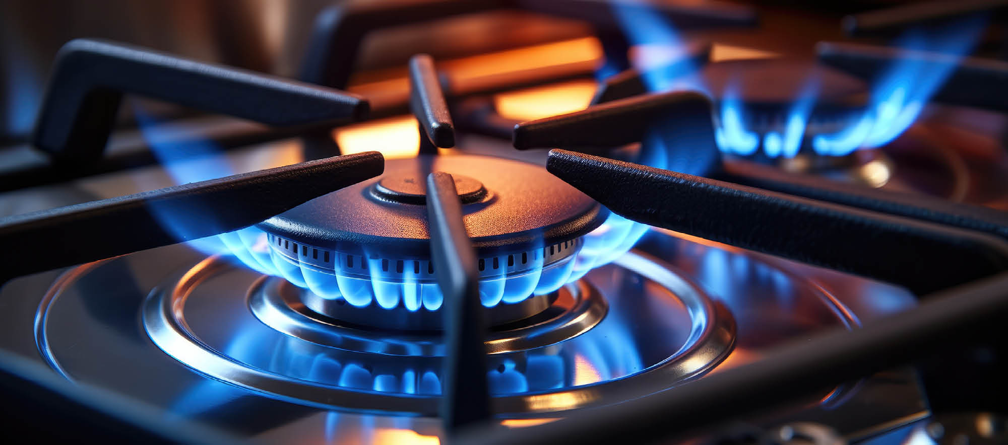 Natural Gas Distributor | Australian Gas Networks